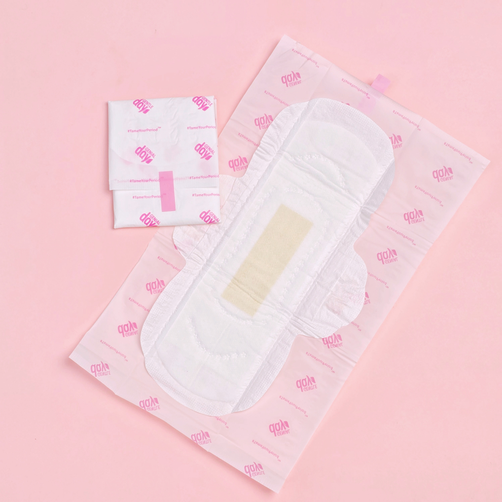 Gentle Day Organic Regular Flow Pads | PFAS-Free Everyday Protection ...